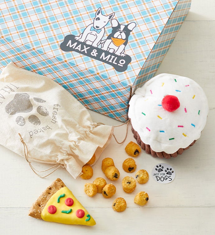 Max & Milo™ Dog & Owner Snack Attack Box | 1800Baskets.com